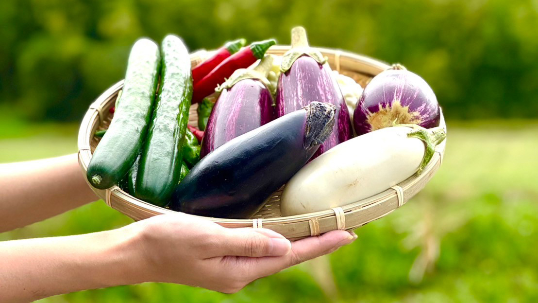 INSOUファーム株式会社 -飲食の総合サービス